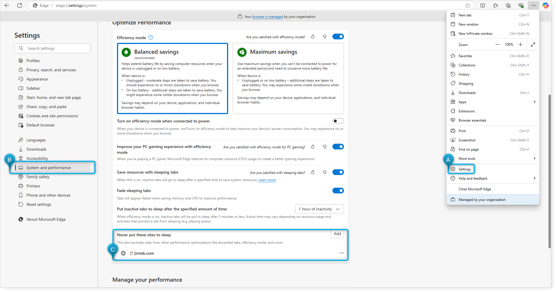 How to Keep Tabs Always Active in Your Browser